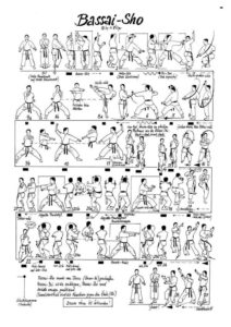 Alle Shotokan Katas mit Lehrvideo, Bunkai und Embusen - dojo-zanshin.de